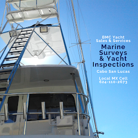 5 Classic Navy Movies