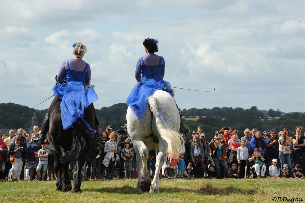 Percheron International: Le Percheron À La Fête