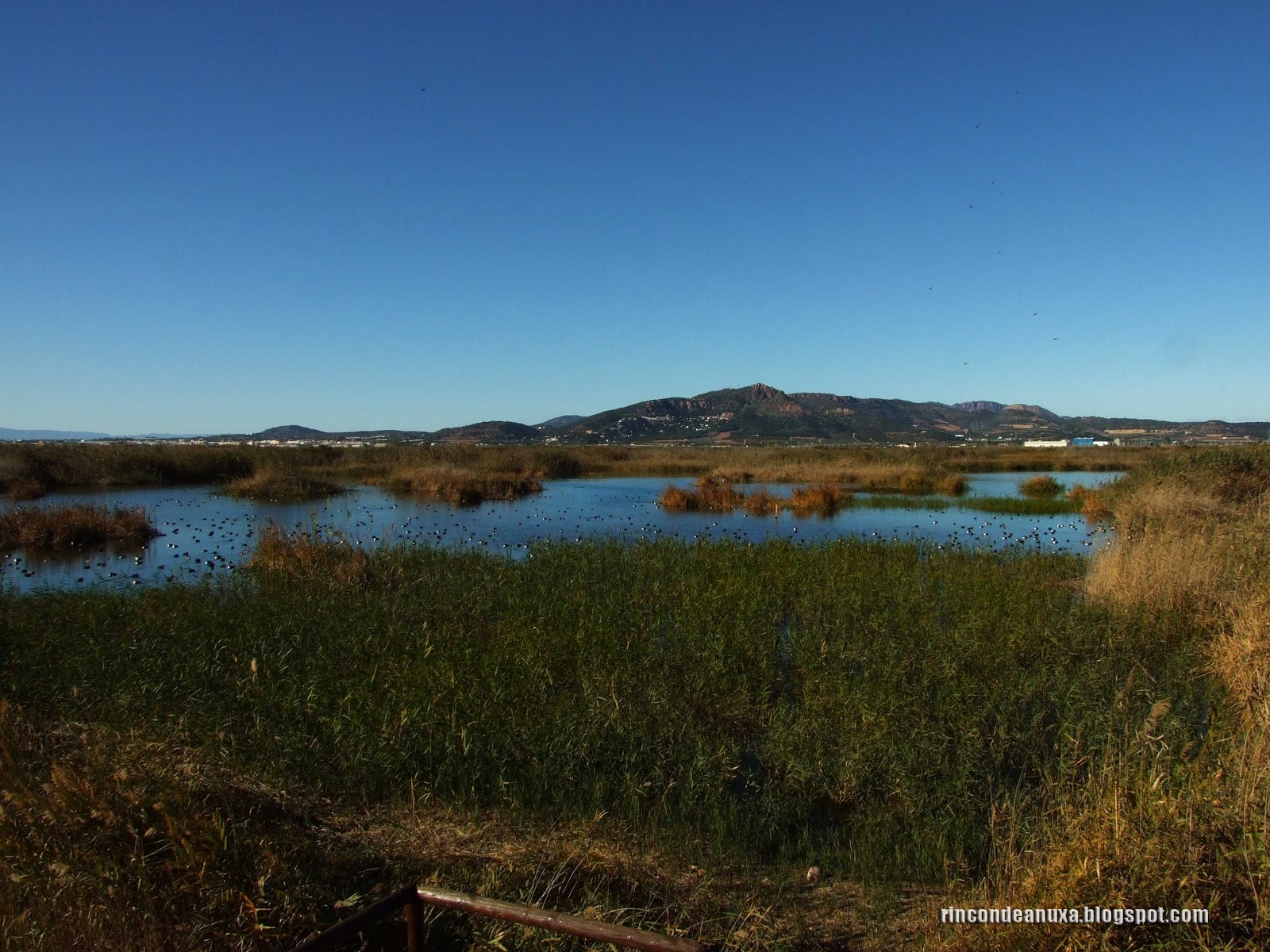 El Rincón de Anuxa: Descubriendo la Marjal dels Moros