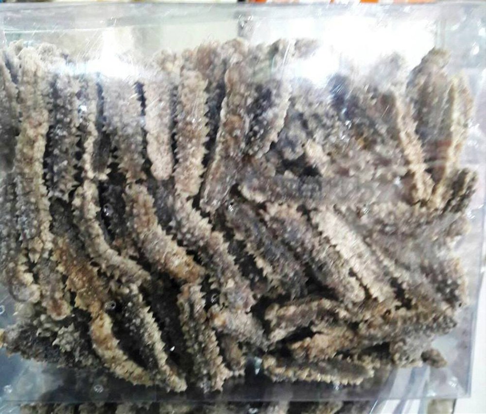 Cara Pembuatan Olahan Teripang Kering - Lalaukan