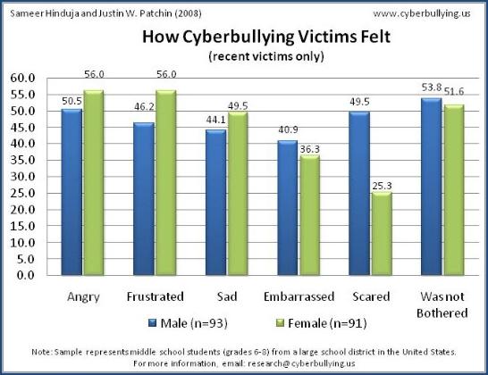 The Facts | Cyberbullying: A Virtual School Playground