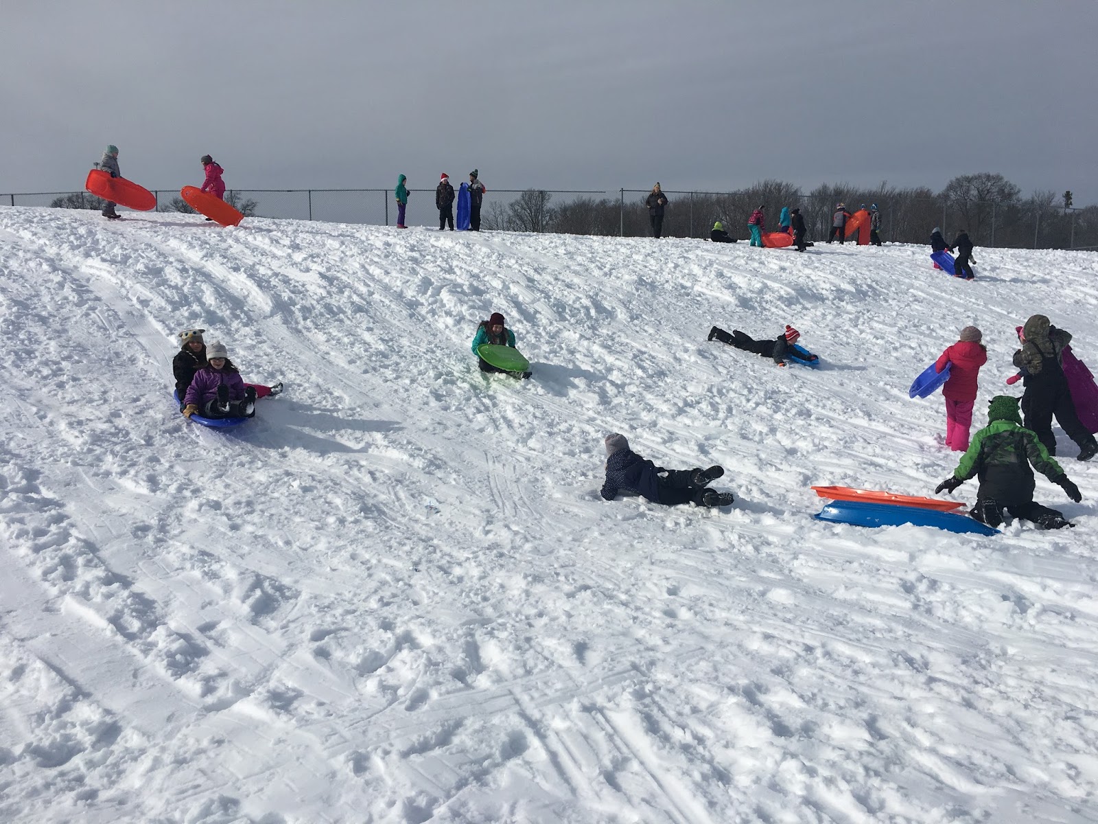Mrs. Smith's classroom blog: All School Sledding