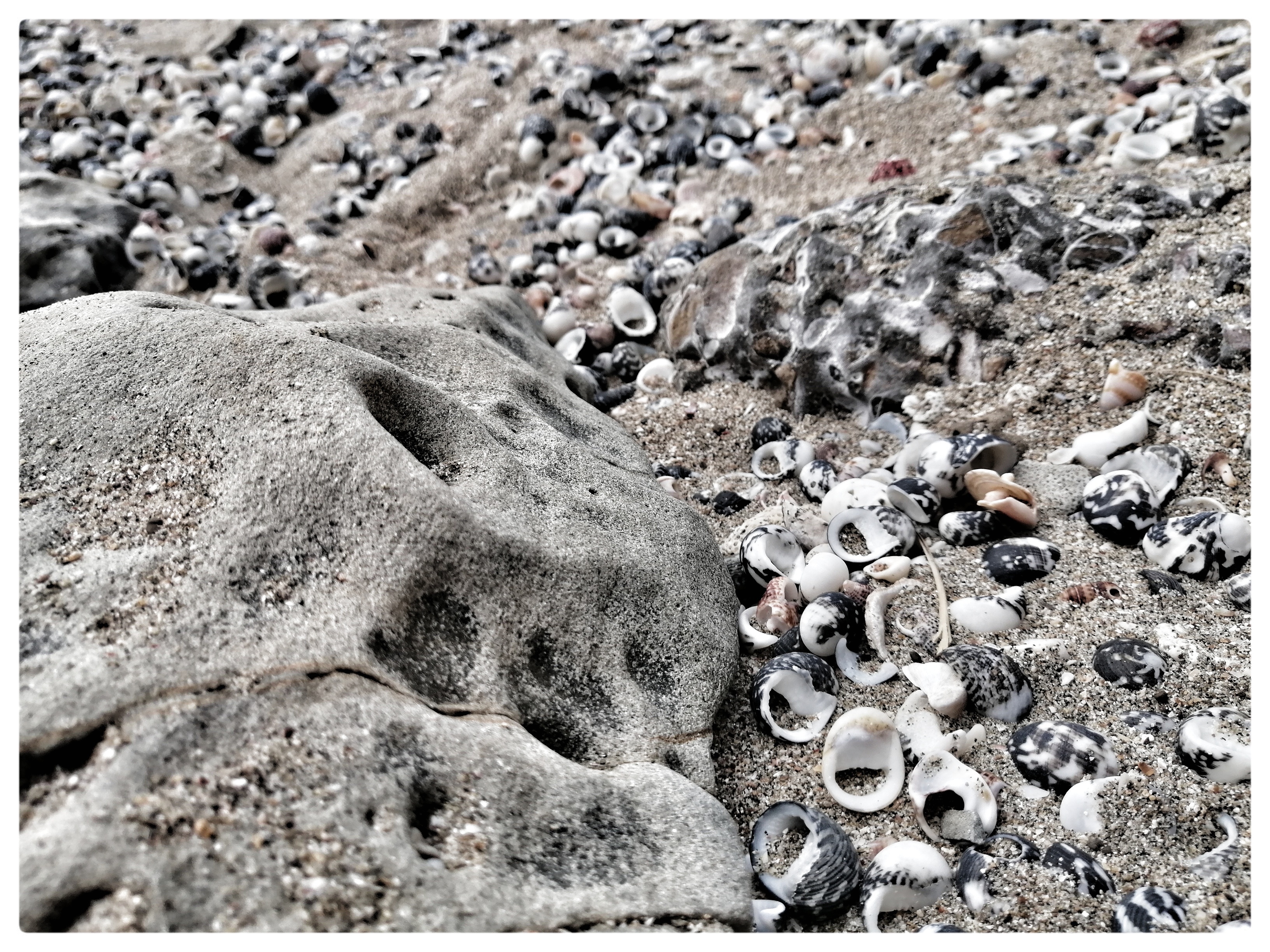 দেয়াল (Deyal): ছবিঘর - দেবযানী দে রাত্রি