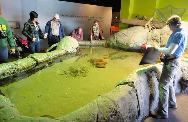 Left Field Wander: San Francisco's Aquarium of the Bay