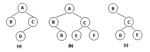 Cara Membaca Tree ~ There is No Dump Questions