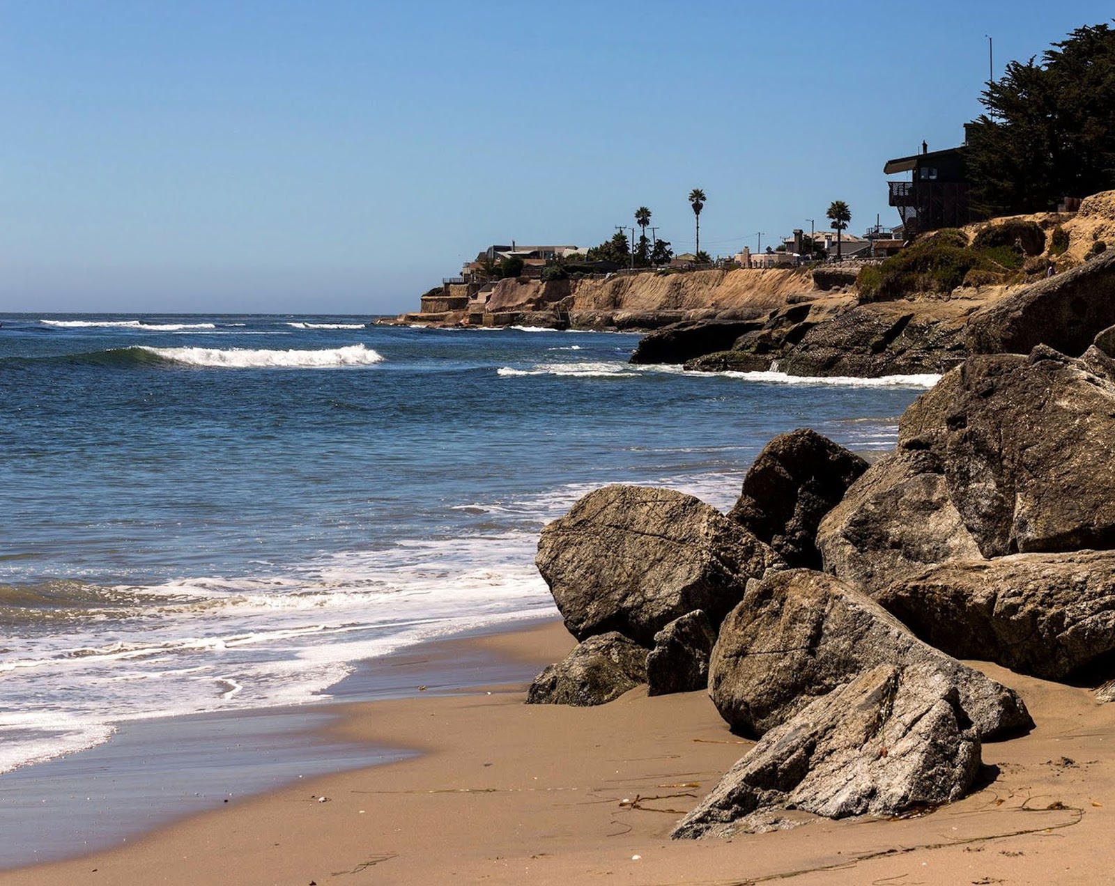 Forestdweller: Pleasure Point