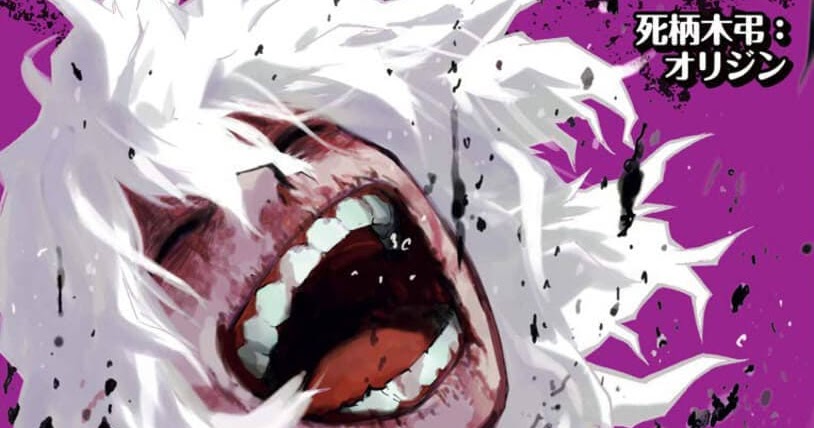 Cambio de nombre en Boku no Hero Academia | NEWS MANGA AR