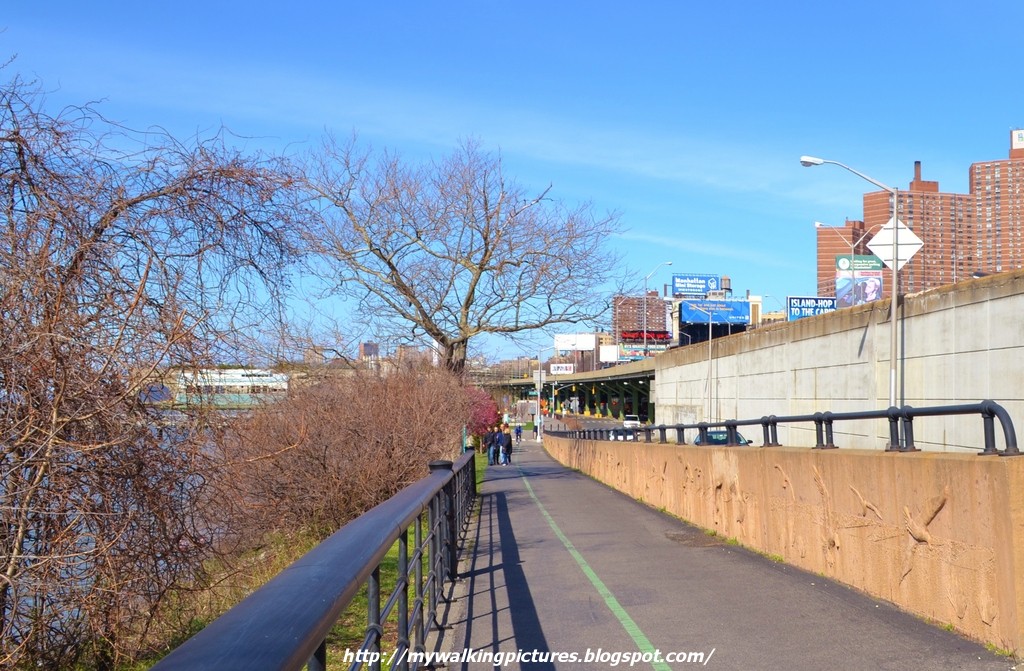 My Walking Pictures: Cherry Walk in 2013