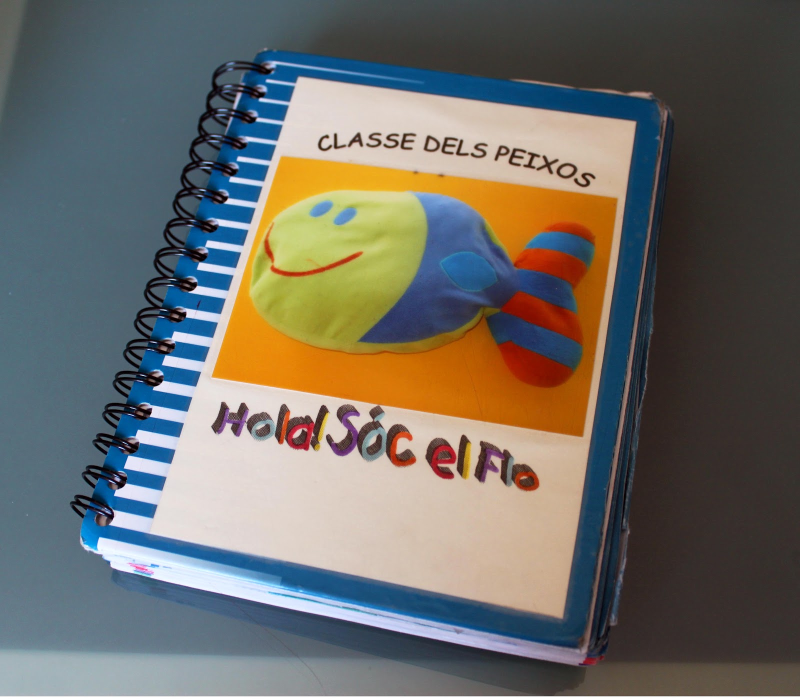 Crea momentos: Flo, la mascota de mi clase.