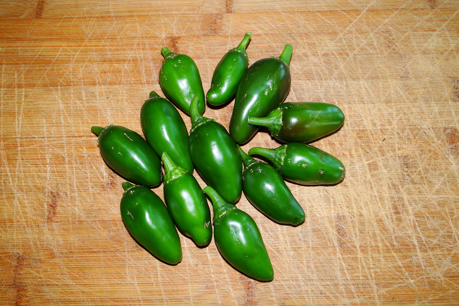 Alejandro Pepper Farm: First Pepper Harvest at Alejandro