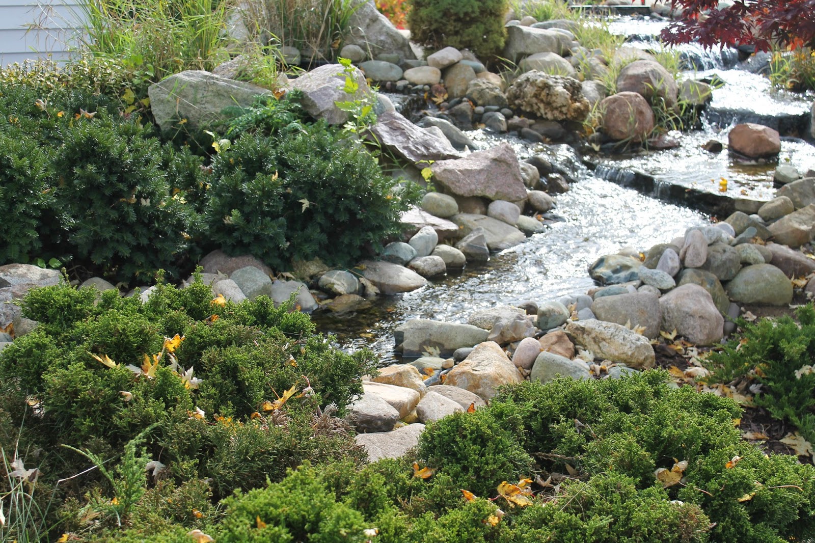 Great Lakes Pondscapes
