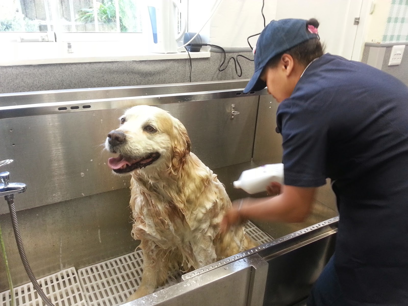 Bly kalm en wees lief vir pote