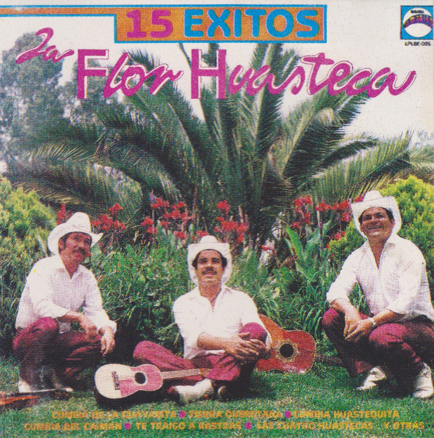 LA FLOR HUASTECA - 15 EXITOS