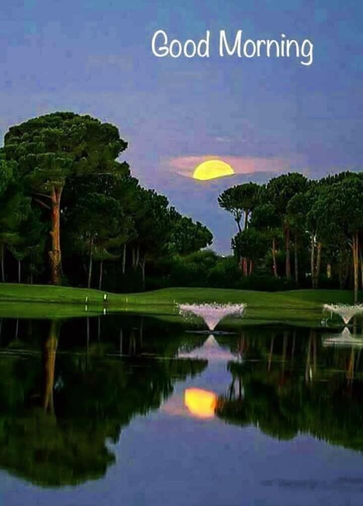 Best 333+ Very Beautiful Good Morning Images || Good Morning Images ...