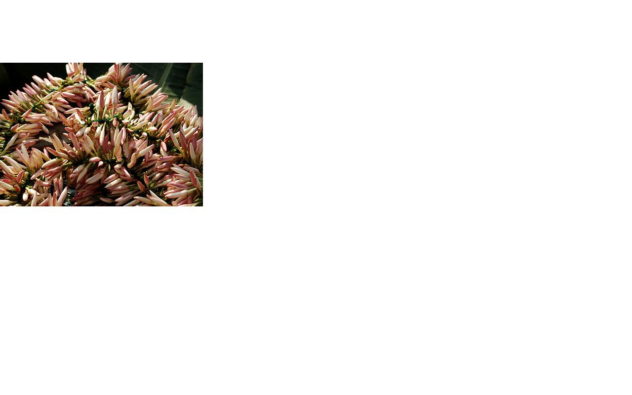 beginning of the raise: Found something to write on my blog.....