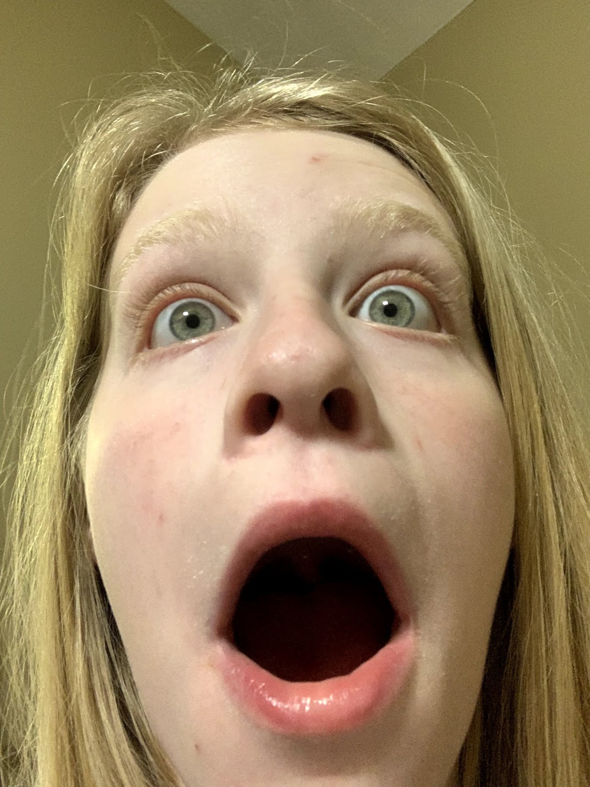 Welcome to the Krazy Kingdom: June 2019