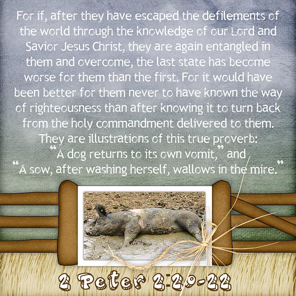 Layout for Today: A True Proverb