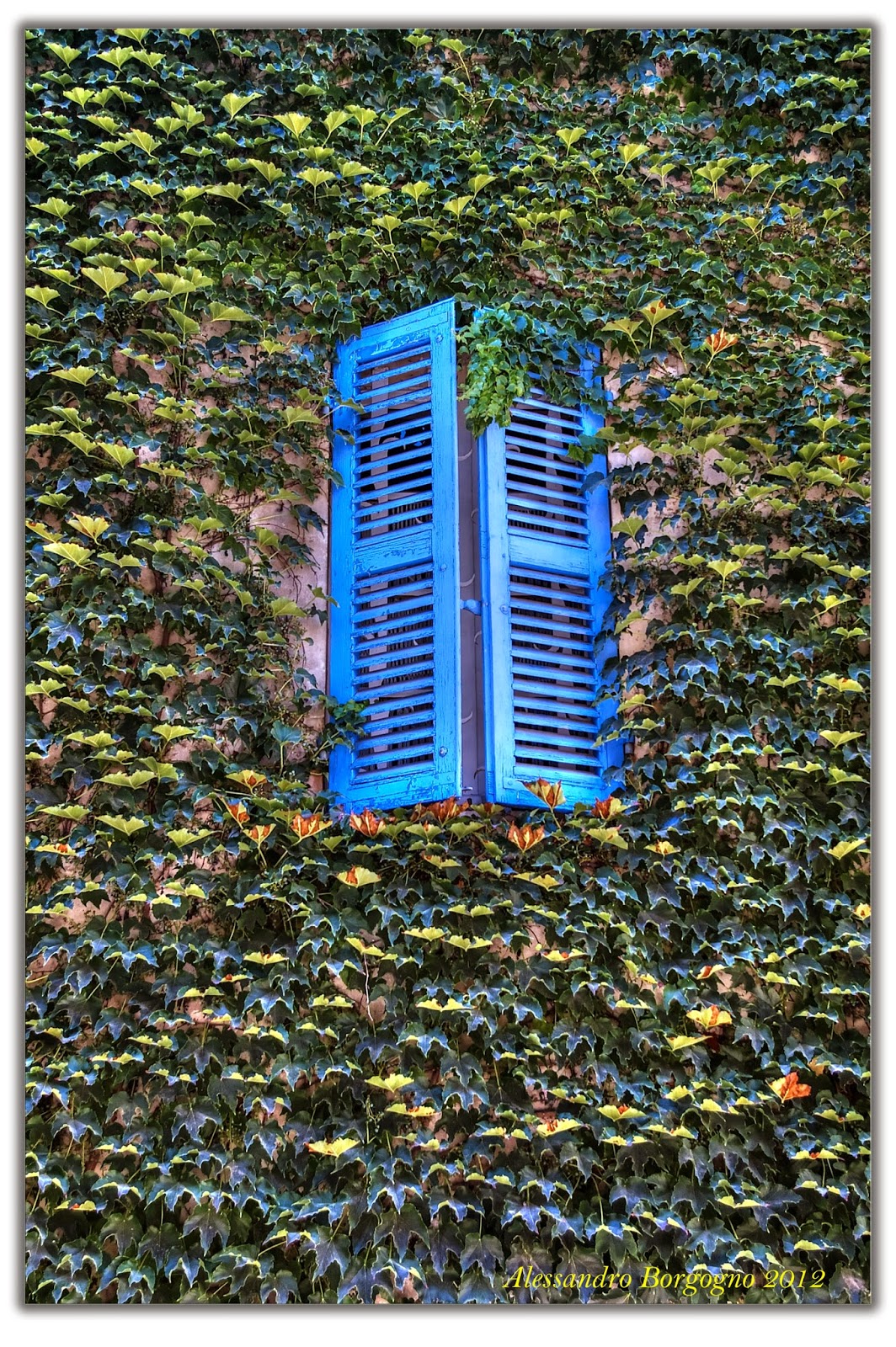 La Kasa Imperfetta: Le cose che so del blu