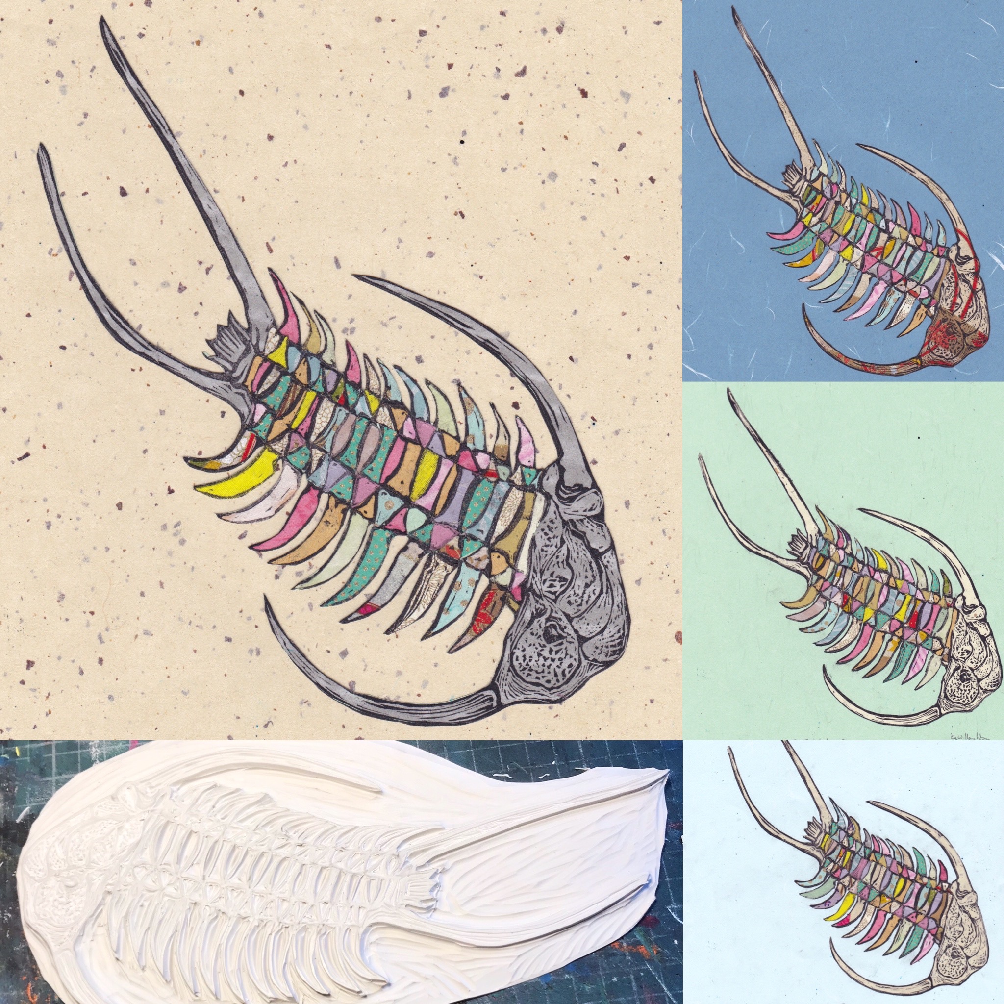 the ongoing saga of minouette: Trilobites, ubiquitous Paleozoic ...
