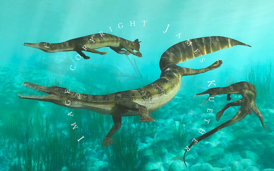 Mundo Pré-Histórico: Mesossauro, o réptil que voltou pra água