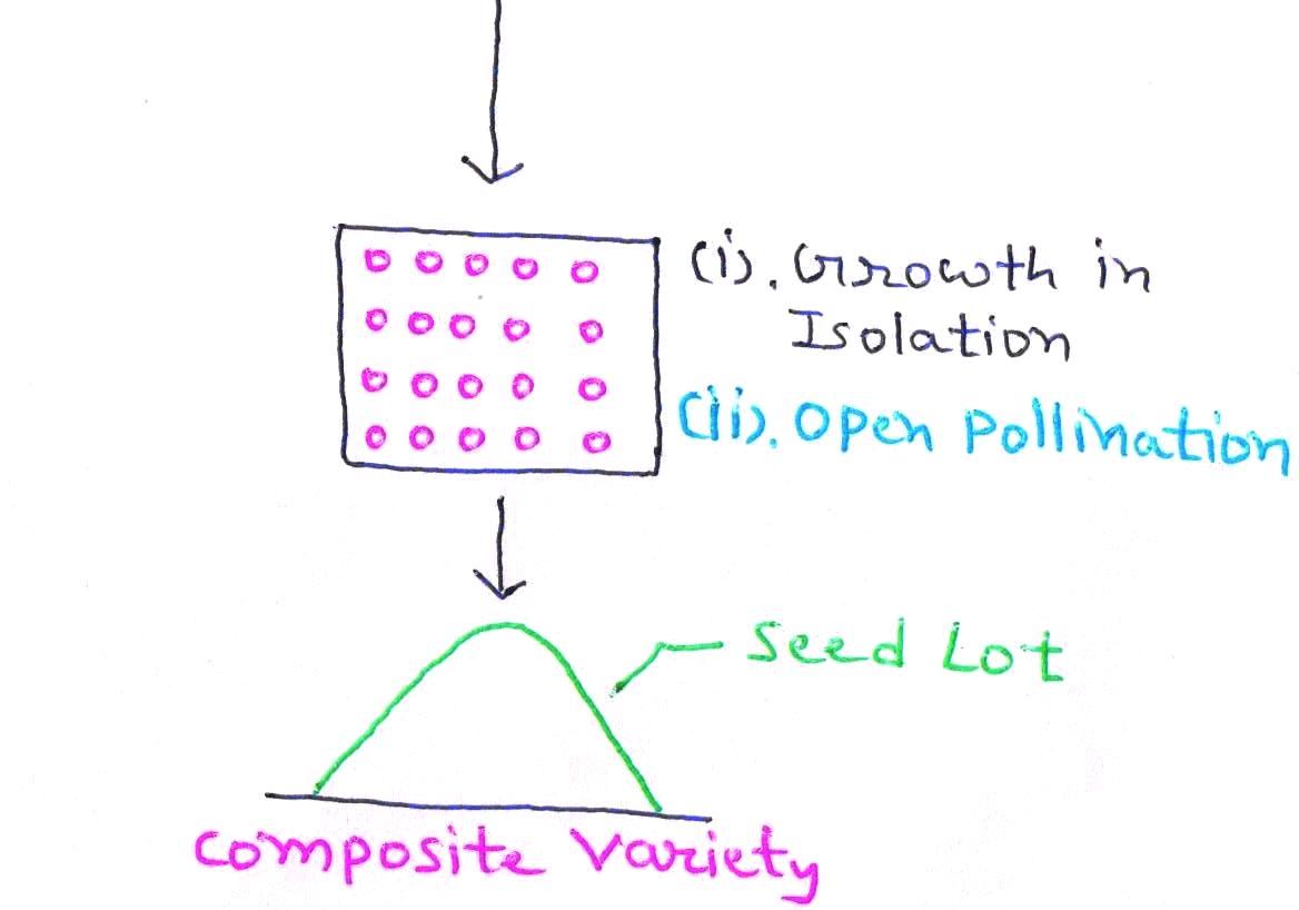 Composite and Synthetic Varieties