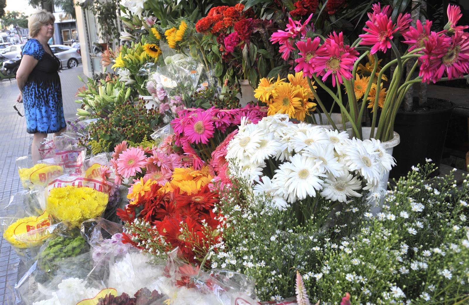 كامل فرحان صالح: As-Safir Newspaper - كامل صالح : مزارعو الأزهار ...