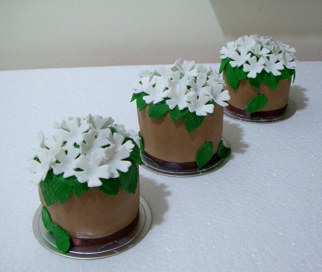 Bearylicious Cakes: Flower Pot Mini Cake