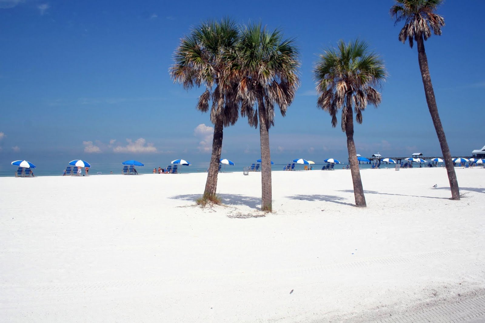 Photo Home Site: Clearwater Beach Florida