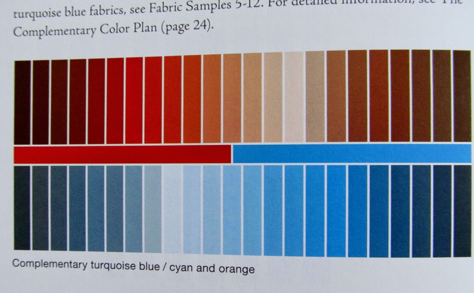 Exuberant Color : Book review............