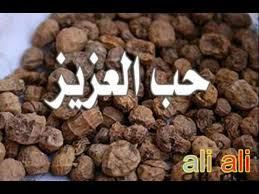 Articles sur l'Egypte et son histoire - Documentaries about Egypt and ...