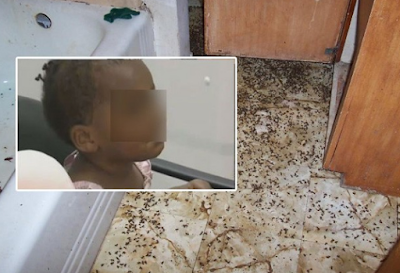 Baby Survived Eating Cockroaches After Her Mom Died In The Bathroom ...