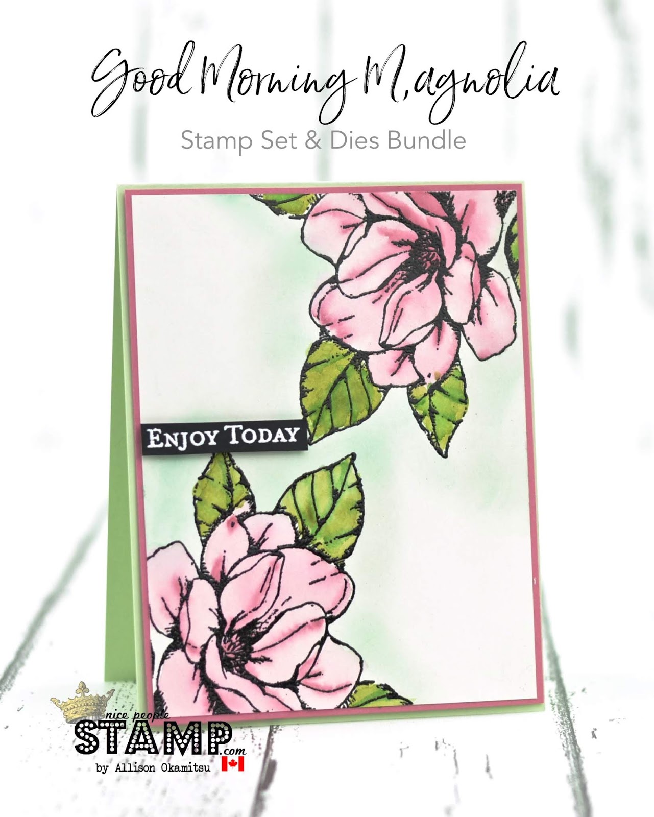 Good Morning Magnolia Cards w/ VIDEO - Nice People STAMP!
