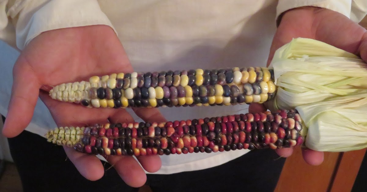 Deser(e)t Loon: First corn