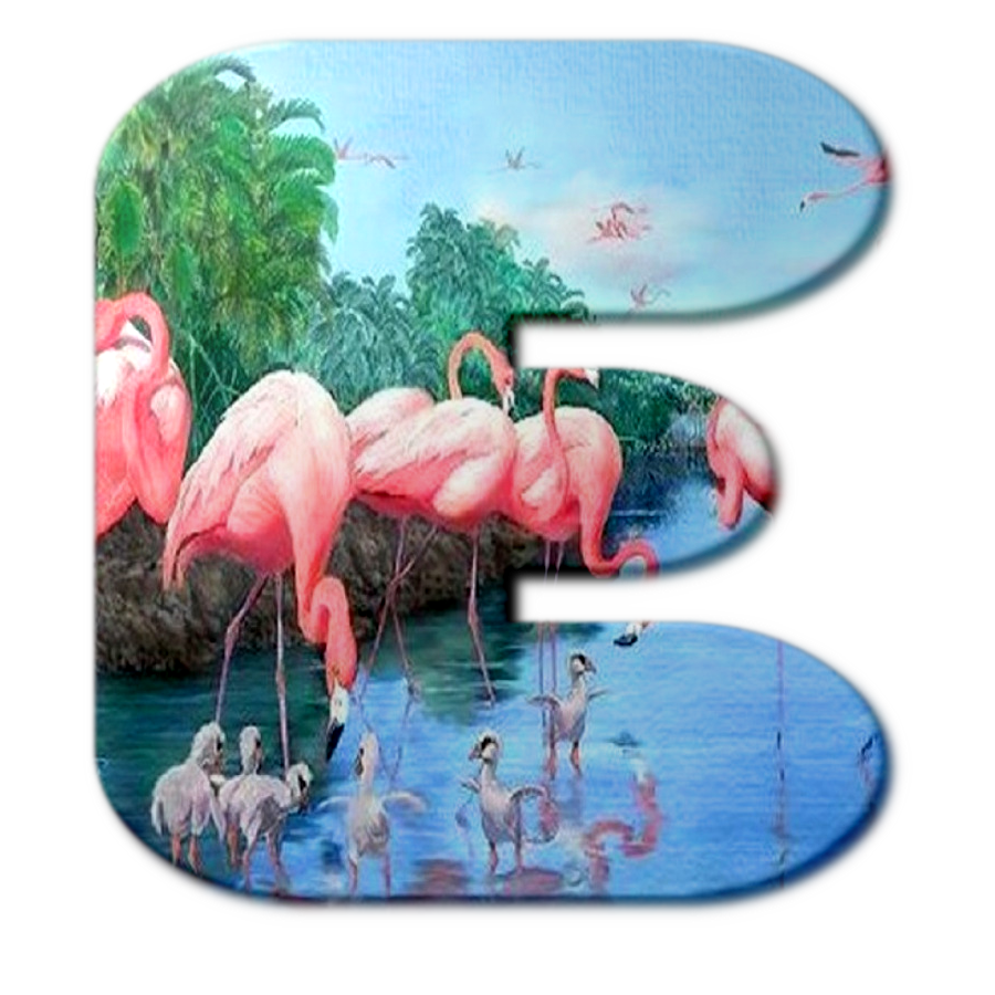 M. Michielin Alphabets: FLAMINGO BLUE RIVER TEXTURE ALPHABET, ICONS AND ...