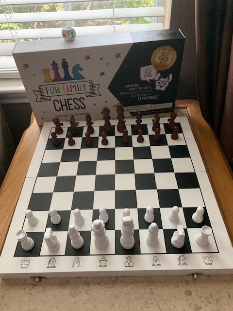 Cummins Life: Brain Blox Fun Family Chess Review