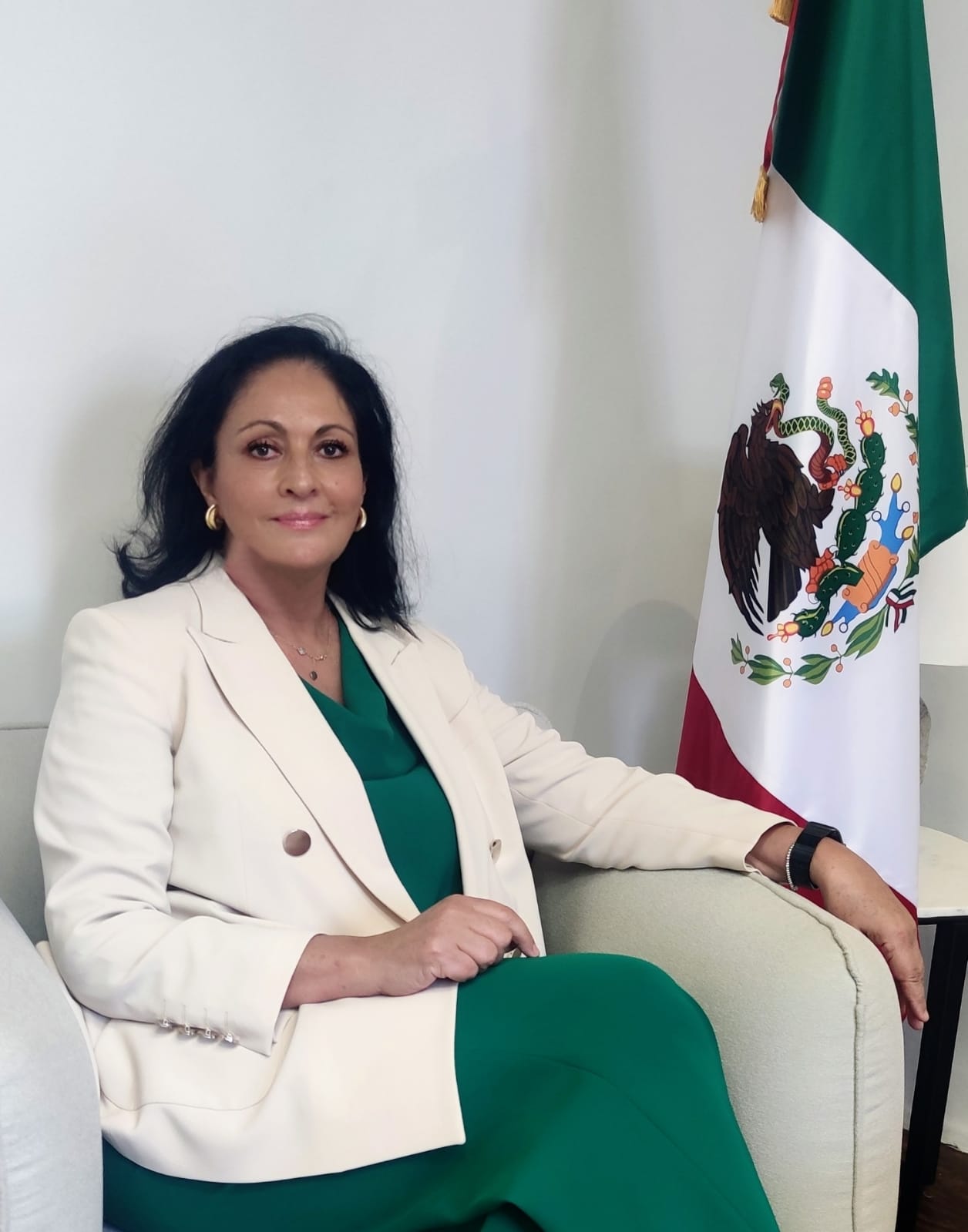 Bitácora del webmaster de Mexicanos en España: Hablamos con la Cónsul ...