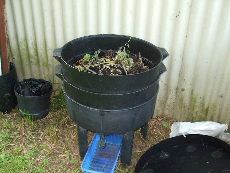 The Compost Bin: Refreshing my Wormery with Bakefield Worms Compost ...