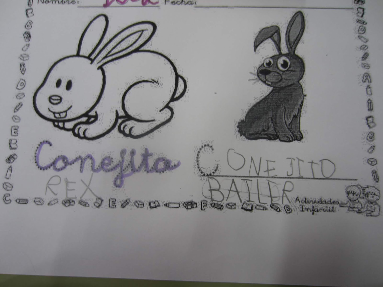 BLOG DE PATRI, educación infantil: PROYECTO LOS CONEJOS