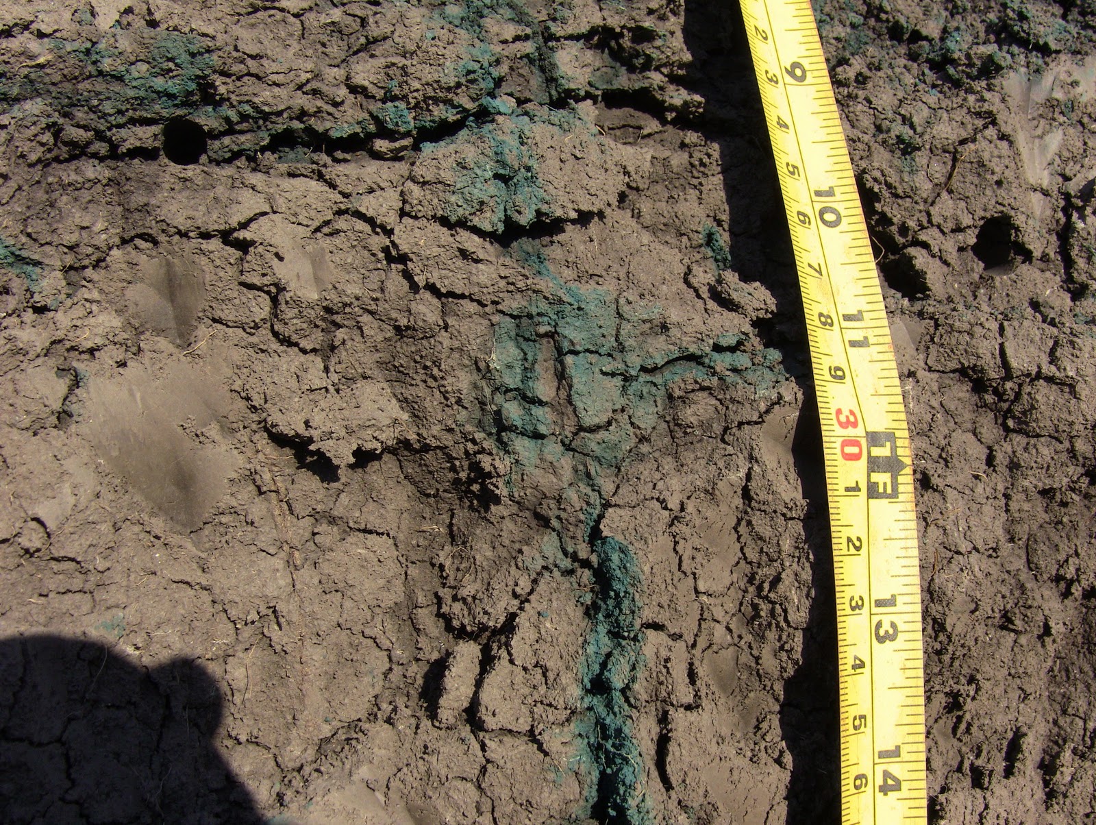 The Science of Dirt: What constitutes desirable soil structure?