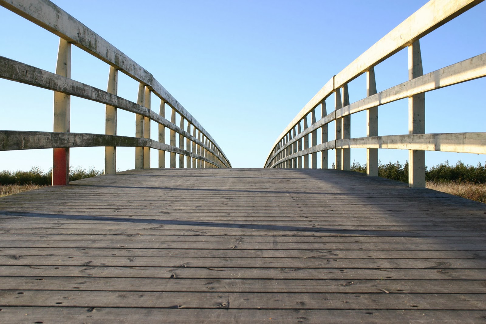 Bridges To Healing for Adoptees: Crossing bridges one step at a time