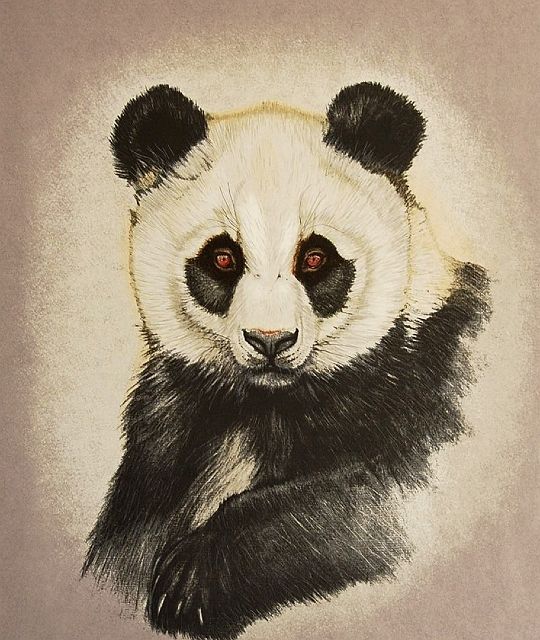 Martin Katon Art Studio: Animals