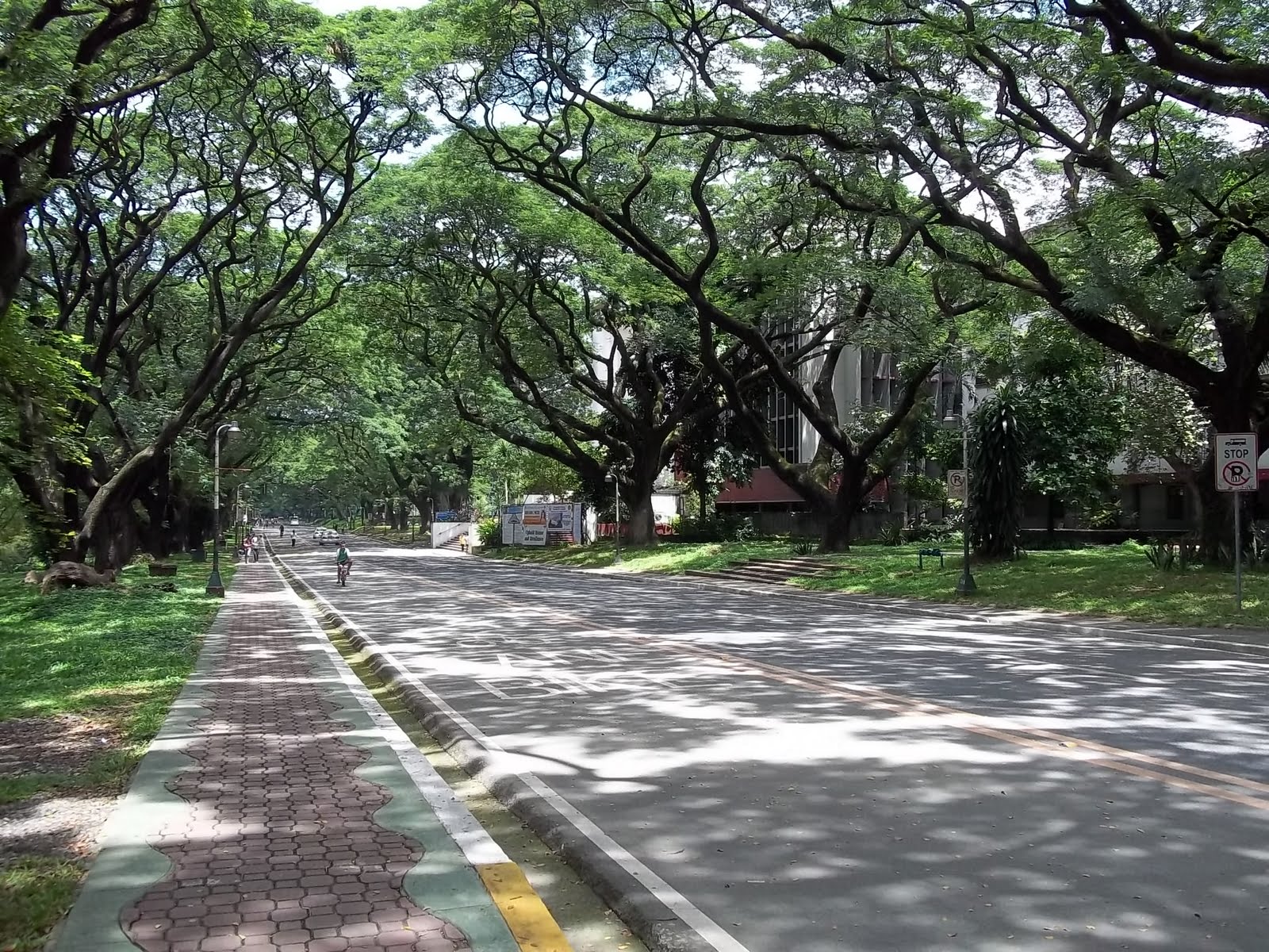 Wandering Caloy: UP Diliman: One Happy Saturday