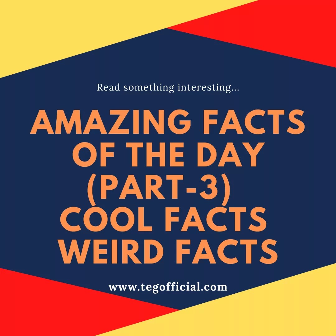 Amazing Facts Of The Day part 3 Cool Facts Weird Facts amazing-facts-of-the-day-part-3-cool-facts-weird-facts