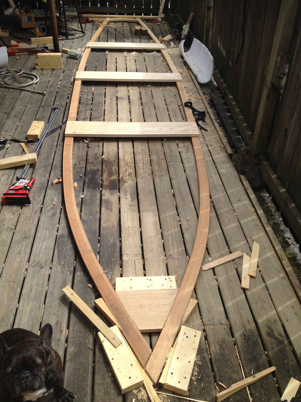 How to build a Currach: Now it starts to look like a boat...