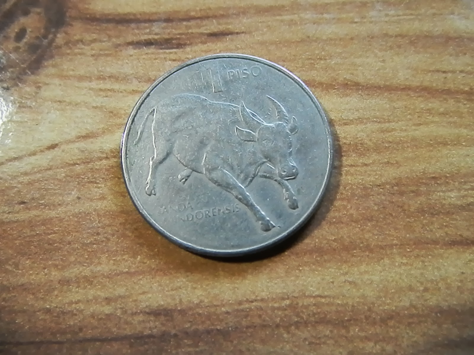 Old & New Philippine Money: Old Philippine Coin Collections