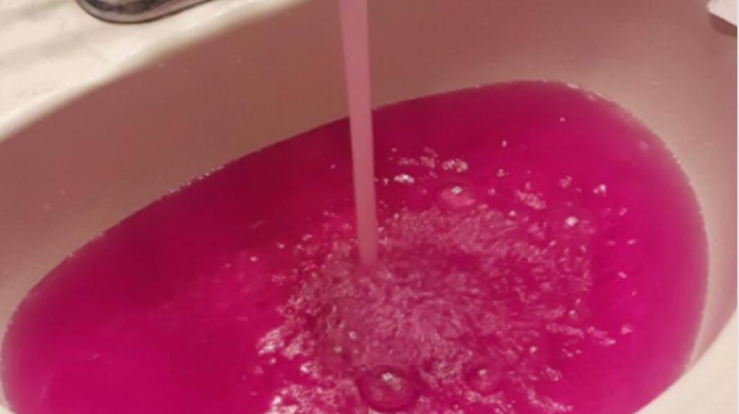 Bright pink water comes out of taps in Canada | aydafol