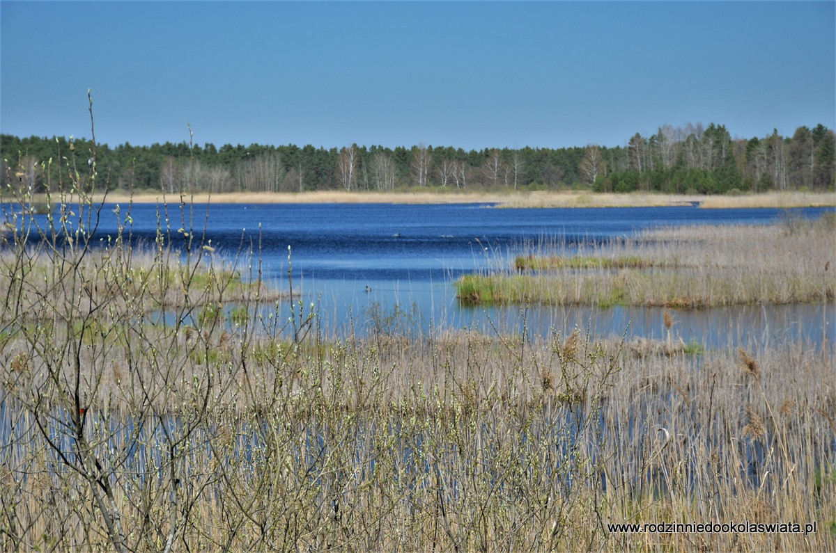 Polesie i Poleski Park Narodowy- co warto zobaczyć? | RODZINNIE DOOKOŁA ...