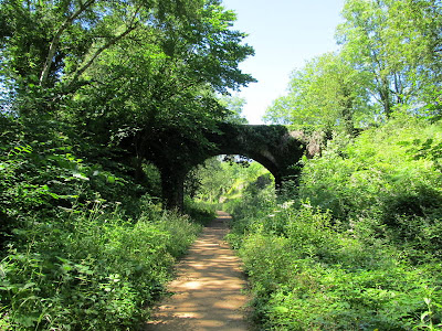 UK Wanderings: Oxclose Wood and Meden Trail