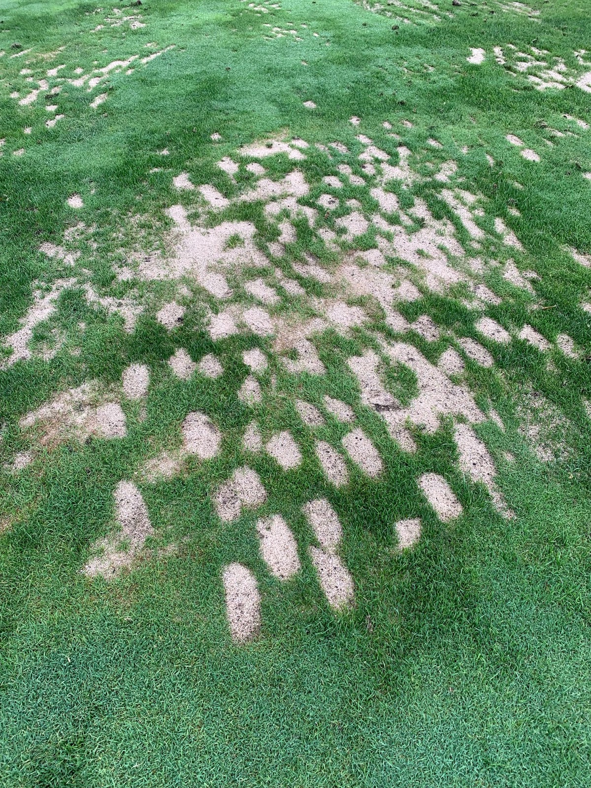 Northmoor Country Club Golf Course Operations: Driving Range Practice ...