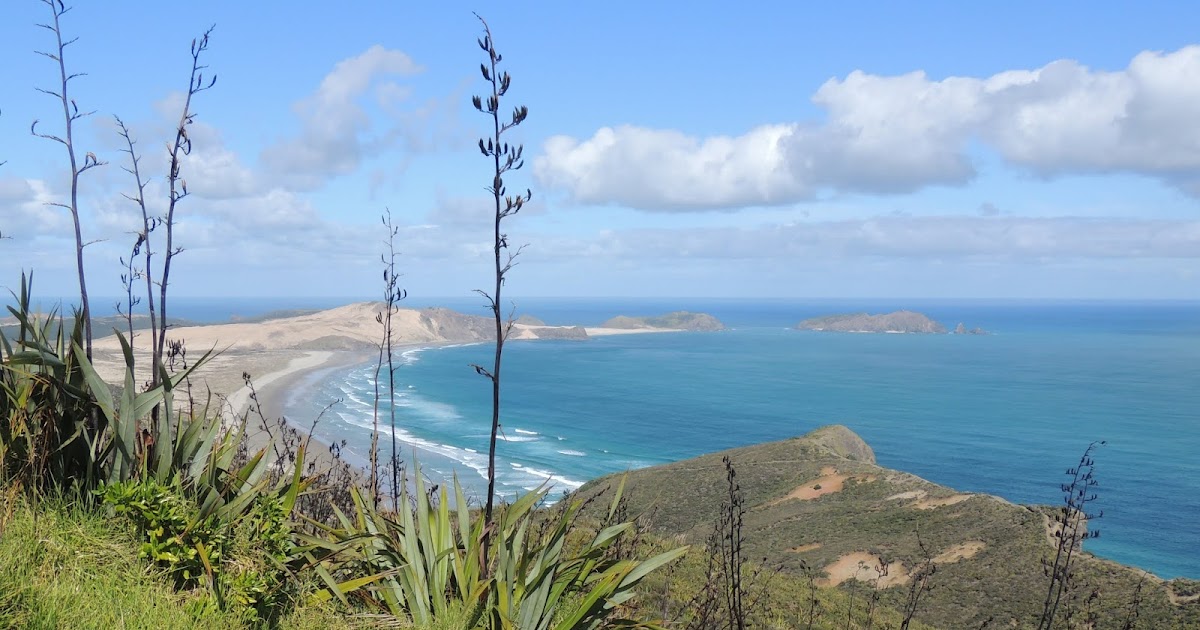 THE ROAD TAKEN : Cape Reinga/Te Rerenga Wairua and the Te Paki Sand Dunes